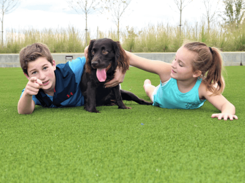 Pure-Zeo Infill - Elite Synthetic Grass | Artificial Grass Perth